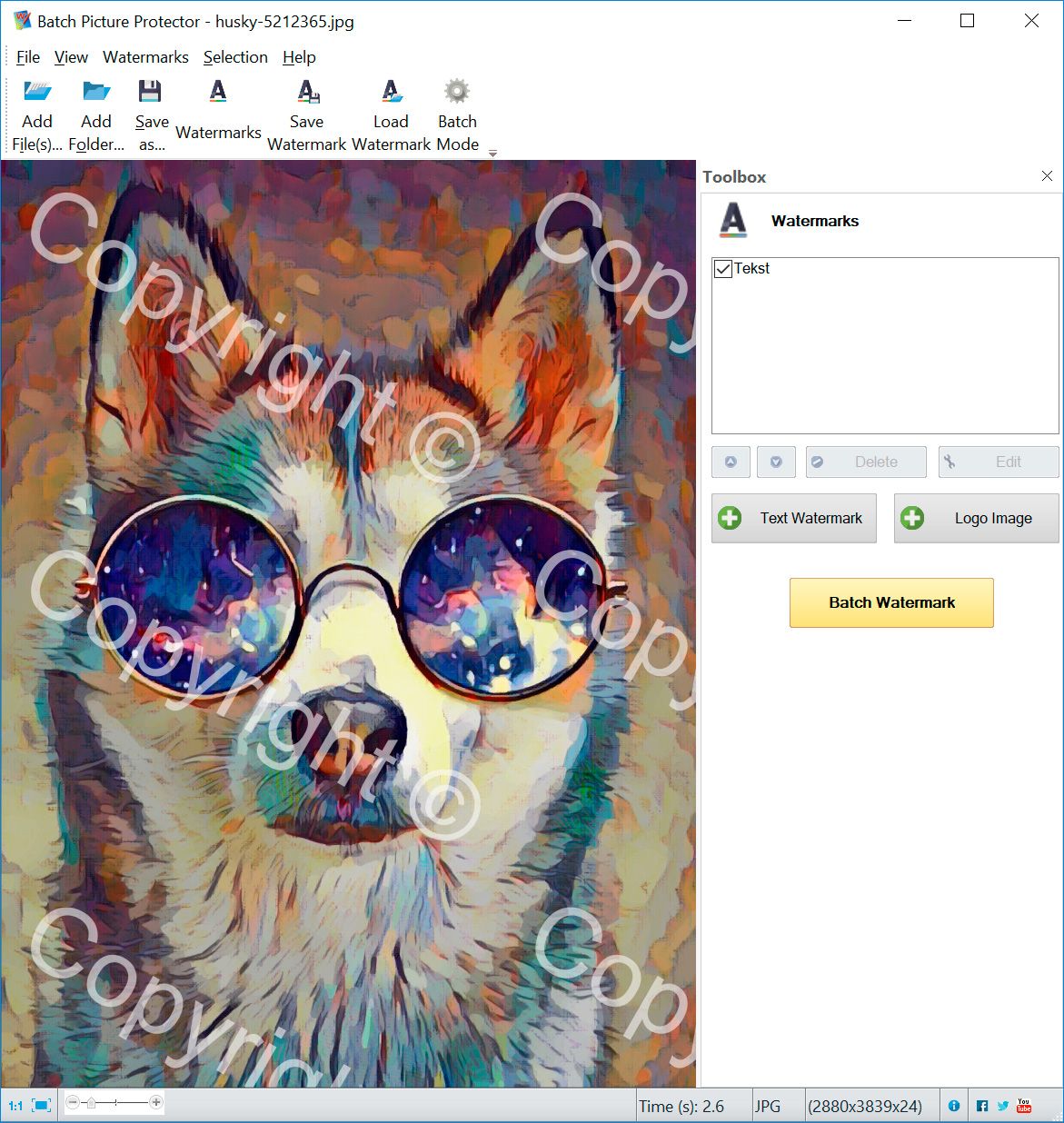Batch Picture Protectorで写真に透かしを挿入。電子透かしソフトウェア。